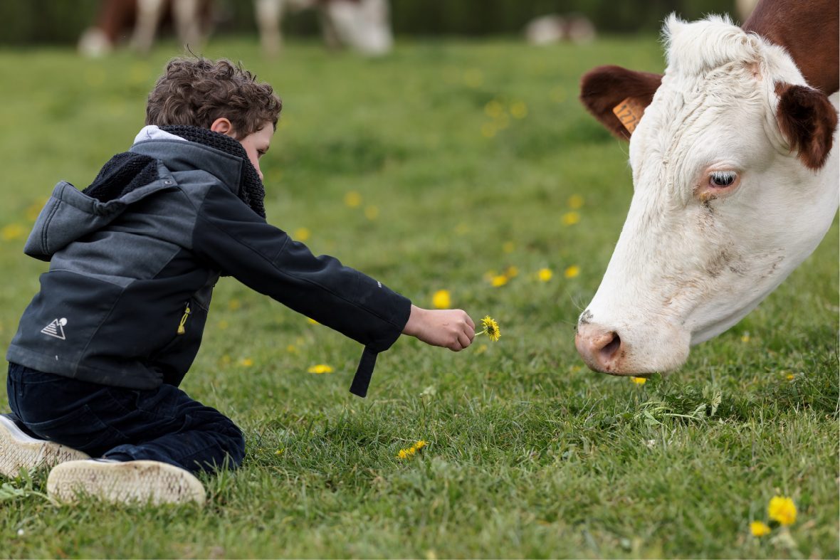 Le bien-être animal - La Fruitière des Coteaux de Seille